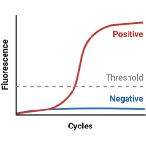 Free ECG tracing (normal, labelled) Icons, Symbols & Images | BioRender