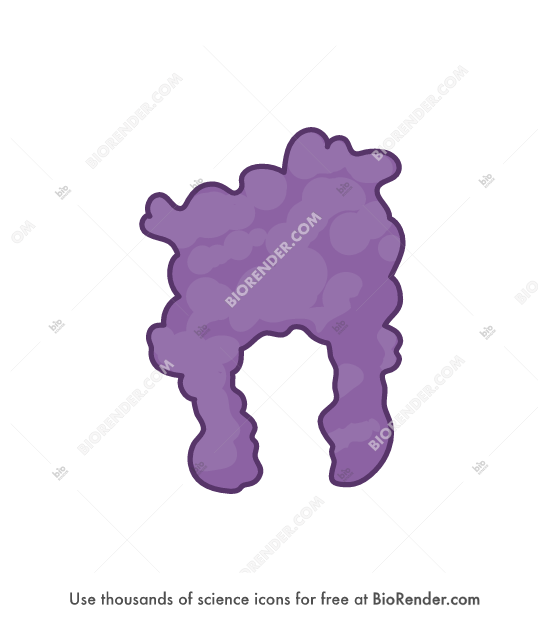 Free Generic protein (stem-loop groove) Icons, Symbols & Images | BioRender