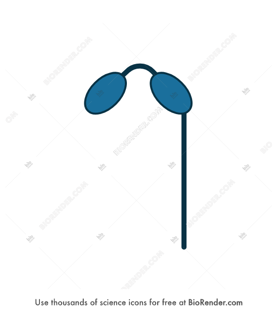 Free CD16 (alpha unit) Icons, Symbols & Images | BioRender