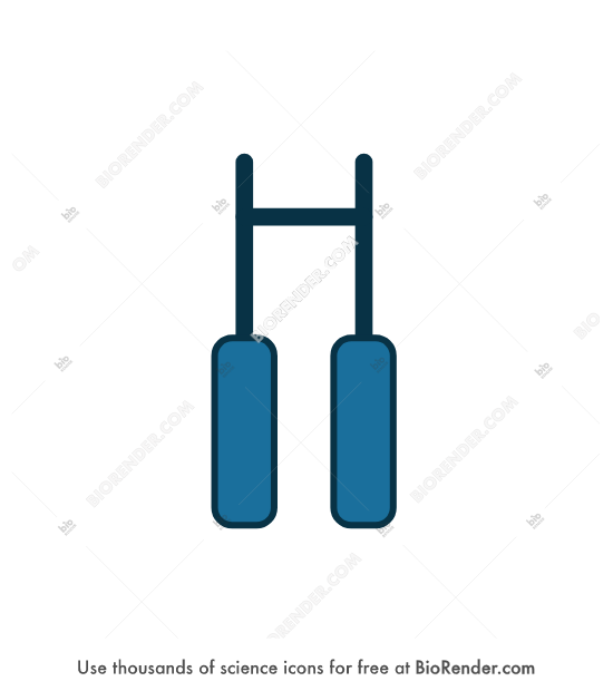 Free CD64 and CD16 (gamma 2 unit) Icons, Symbols & Images | BioRender