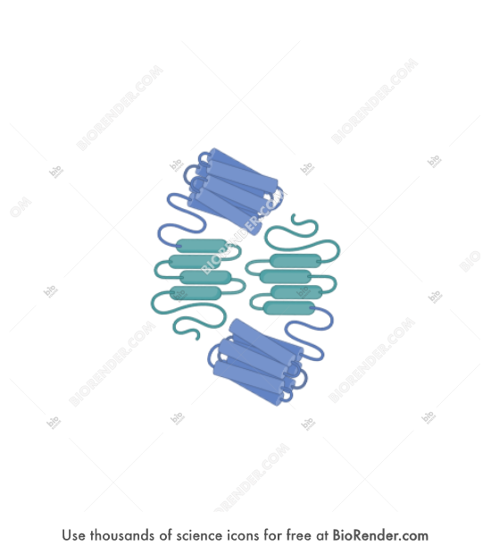Free LGI1 (dimer) Icons, Symbols & Images | BioRender