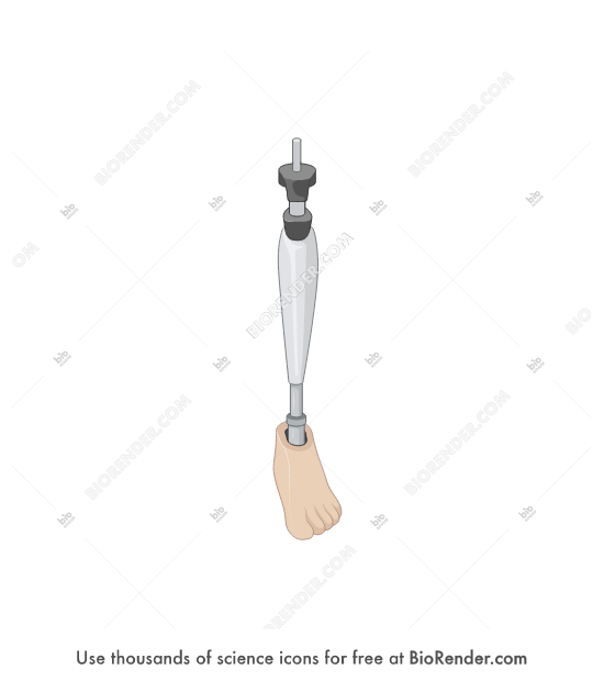 Free Prosthesis (lower leg) Icons, Symbols & Images | BioRender