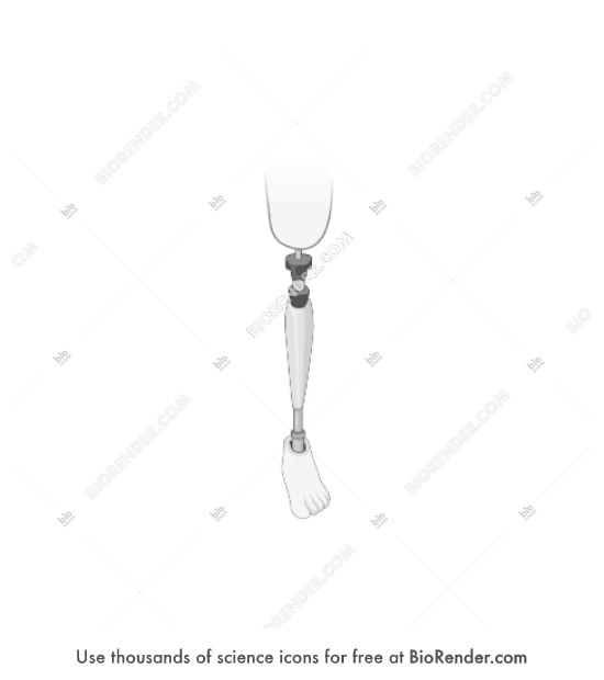 Free Limb (amputation stump, with prosthetic leg) Icons, Symbols ...