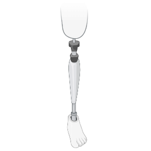 Limb (amputation stump) | Editable Science Icons from BioRender