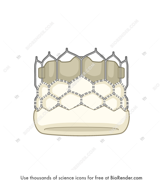 Free Transcatheter aortic valve replacement (TAVR) Icons, Symbols ...