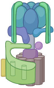 Free Generic enzyme 10 (complex) Icons, Symbols & Images | BioRender