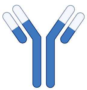 Free Antibody fragment (linker) Icons, Symbols & Images | BioRender