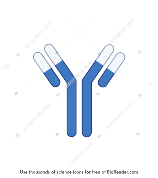 Free Antibody (round style, chimeric) Icons, Symbols & Images | BioRender