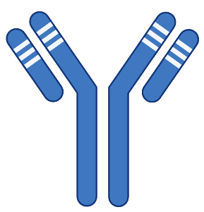 Free Antibody Icons, Symbols & Images | BioRender
