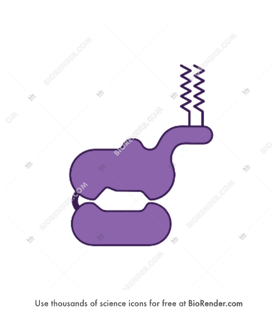 Free G protein (heterotrimeric, alpha) Icons, Symbols & Images | BioRender