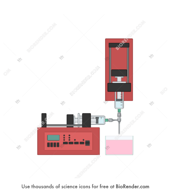 Free Encapsulation process Icons, Symbols & Images | BioRender