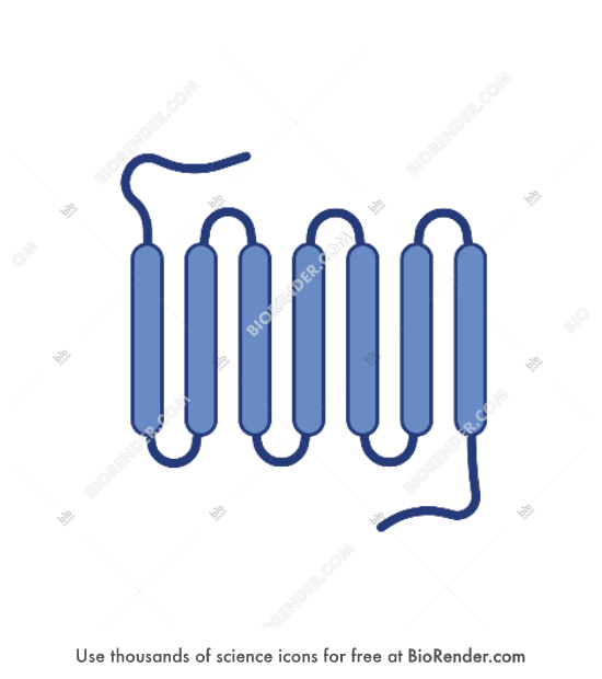 Free GPCR (editable) Icons, Symbols & Images | BioRender