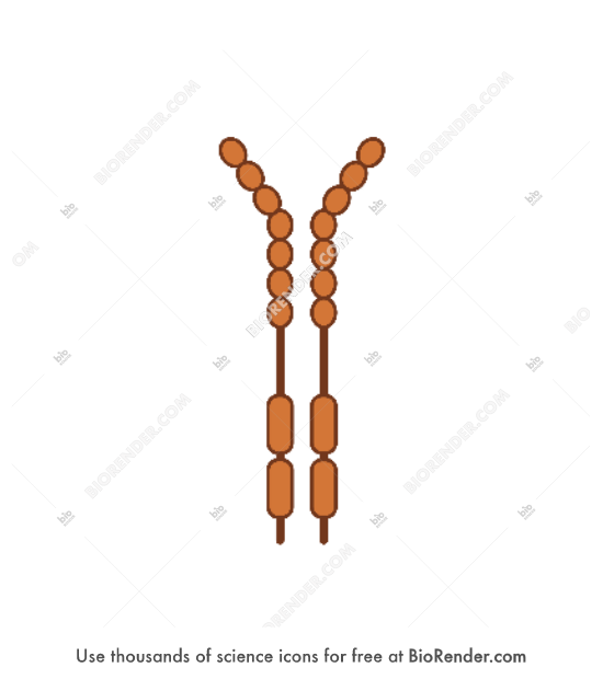 Free VEGFR2 (dimer) Icons, Symbols & Images | BioRender