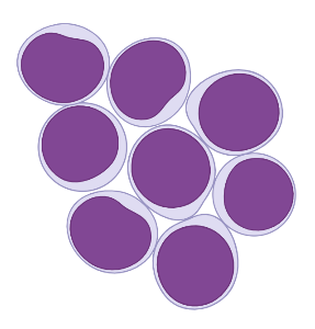 Free Lymphocyte (t-cell, active, blue) Icons, Symbols & Images | BioRender