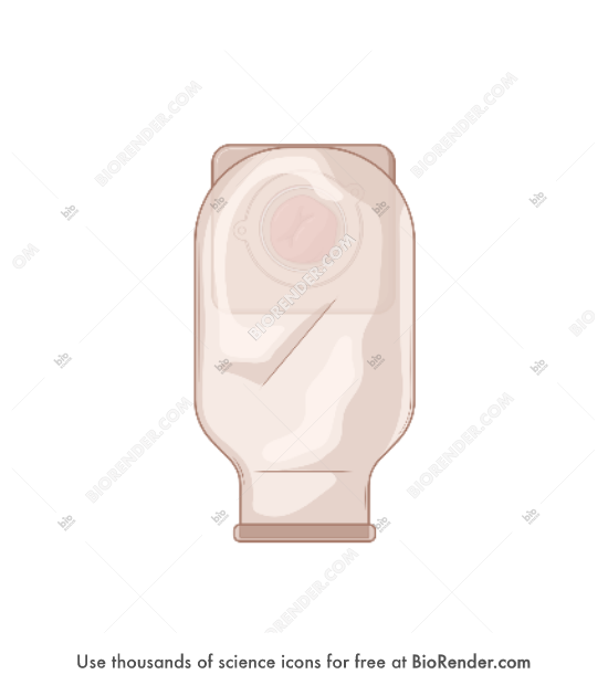 Free Ostomy system Icons, Symbols & Images | BioRender