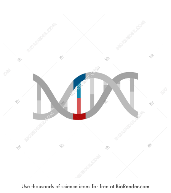 Free DNA (short, with base pair) Icons, Symbols & Images | BioRender