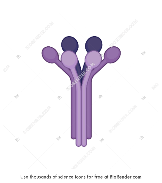 Free C1 complex Icons, Symbols & Images | BioRender