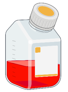 Free Cell culture flask (T25) Icons, Symbols & Images | BioRender