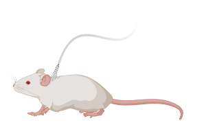 Free Urine bag Icons, Symbols & Images | BioRender