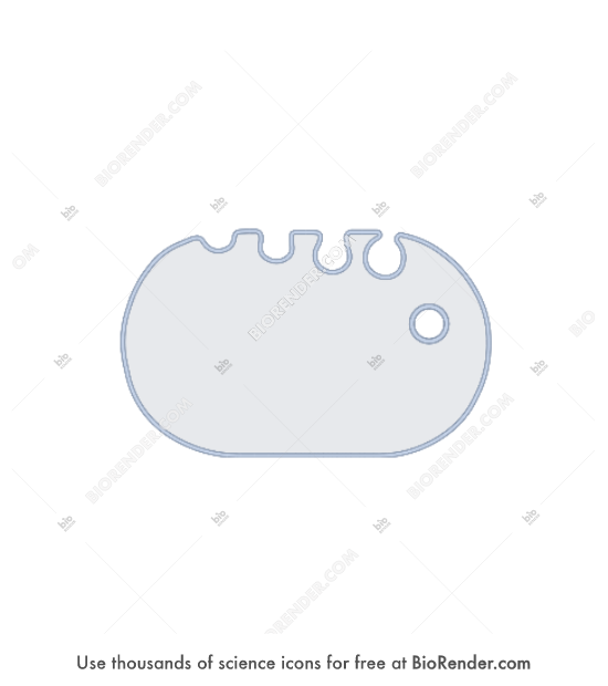 Free Endocytosis (large pill-shaped membrane, small vesicle) Icons ...