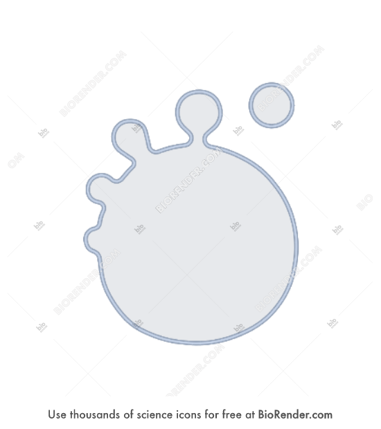 Free Membrane (budding, x-large circle, medium vesicle) Icons, Symbols ...