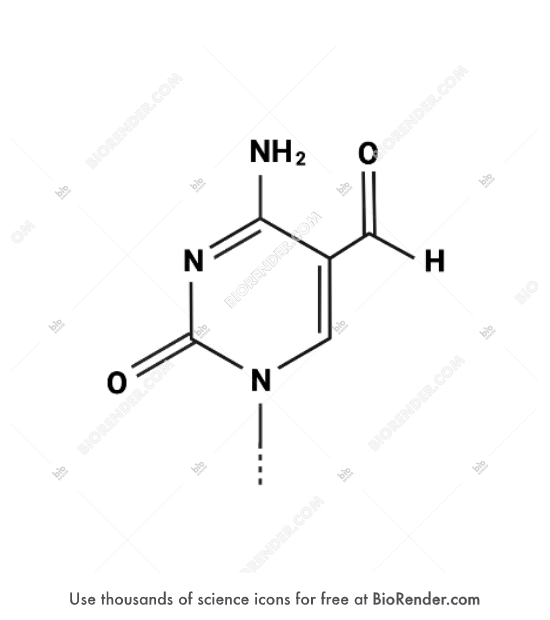 Free 5-formylcytosine Icons, Symbols & Images | BioRender