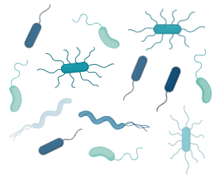 Free Type 5 secretion system (CdiA) Icons, Symbols & Images | BioRender