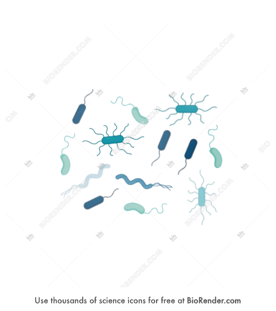 Free Microbiome Icons, Symbols & Images | BioRender