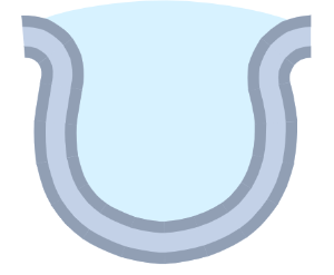 Vesicle (large, stage 2) | Editable Science Icons from BioRender