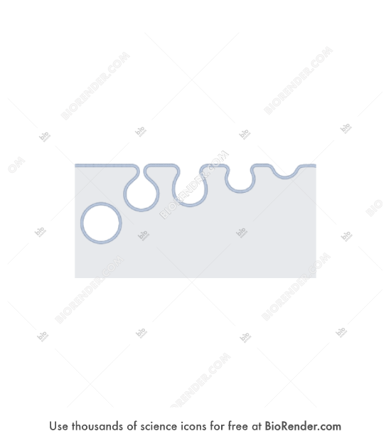 Free Exocytosis (linear membrane, medium vesicle) Icons, Symbols ...