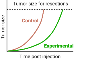 Free ECG tracing (normal, labelled) Icons, Symbols & Images | BioRender