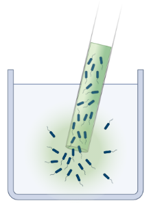 Free Cell culture flask (T75) Icons, Symbols & Images | BioRender