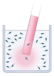 Free Spinner flask (cap) Icons, Symbols & Images | BioRender