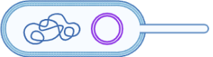 Free Bacteria with plasmid (gram negative) Icons, Symbols & Images ...