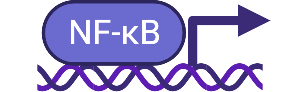 Nucleosome (3D) | Editable Science Icons from BioRender