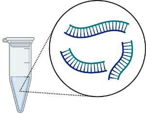 Free Genome structural variation (intra-chromosome insertion) Icons ...