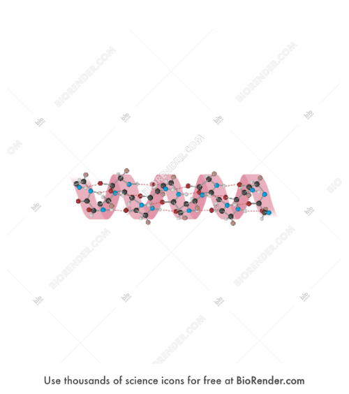 Free Alpha helix Icons, Symbols & Images | BioRender