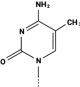 Free Polypeptide backbone (C-terminus 2) Icons, Symbols & Images ...