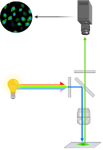 Free Light path (brightfield microscope) Icons, Symbols & Images ...