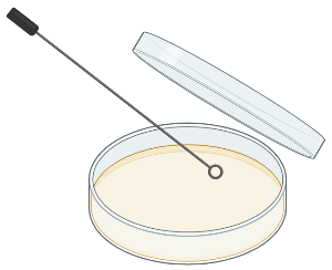 Free Well plate (side view, concentration gradient) Icons, Symbols ...