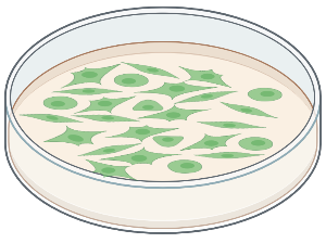 Free Well plate (side view, container, large, wide) Icons, Symbols ...