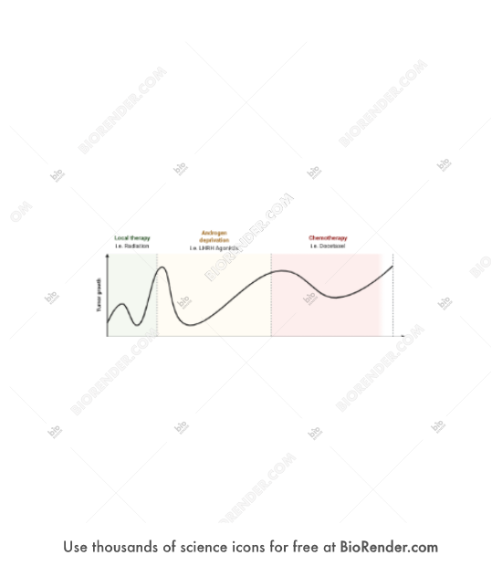 Free Prostate cancer progression Icons, Symbols & Images | BioRender