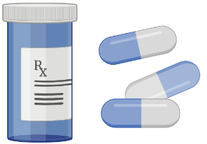 Ultrasound probe (convex) | Editable Science Icons from BioRender