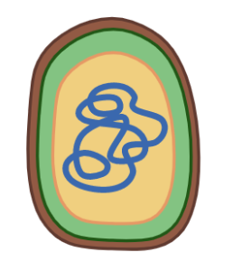 Free Type 5 secretion system (CdiB) Icons, Symbols & Images | BioRender