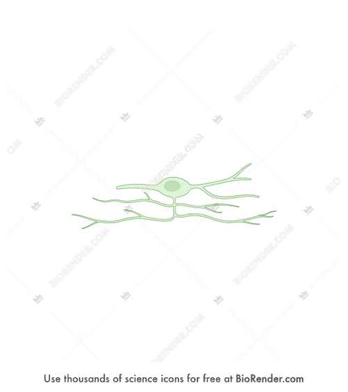 Free Cajal-Retzius neuron (axonal arborization) Icons, Symbols & Images ...