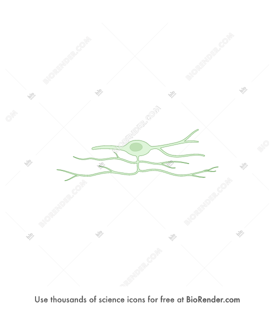 Free Cajal-Retzius neuron (axonal arborization) Icons, Symbols & Images ...