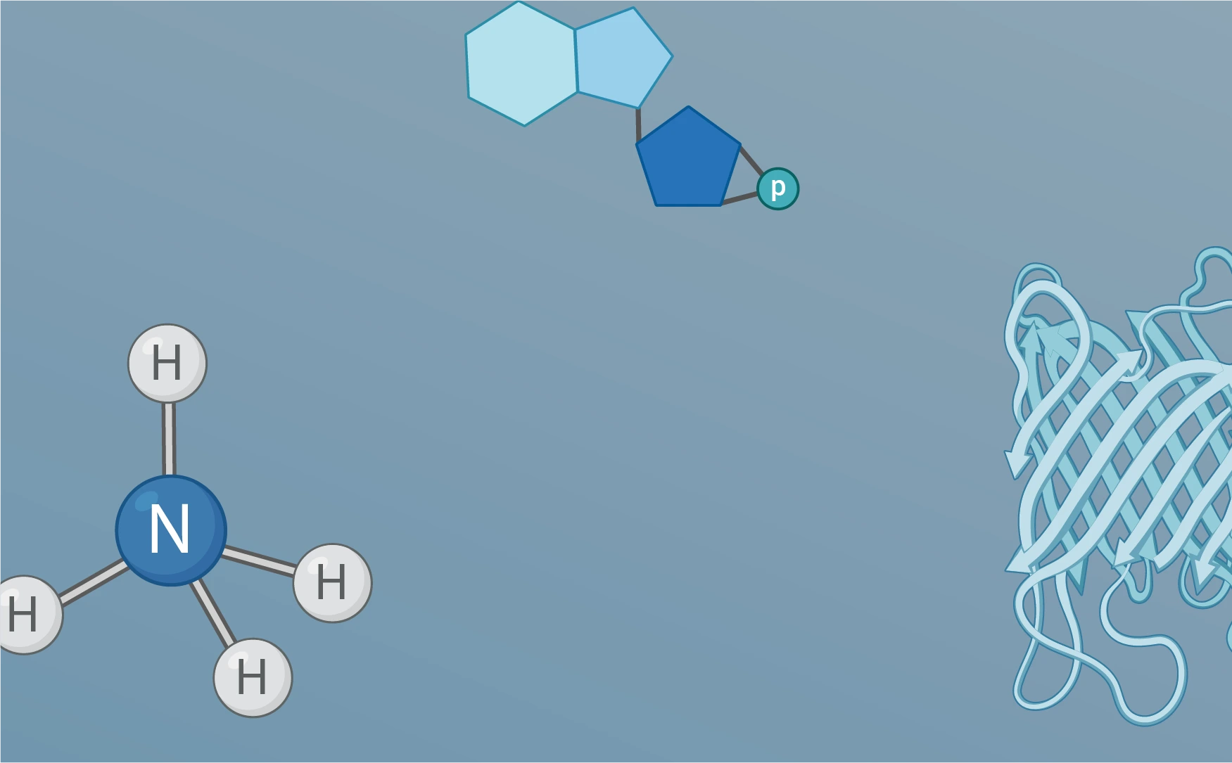 Free Life Science Icons | BioRender