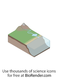 Free Anaerobic digester Icons, Symbols & Images | BioRender