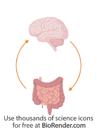 Free Optic chiasm Icons, Symbols & Images | BioRender