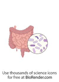 Free Gut microbiota Icons, Symbols & Images | BioRender